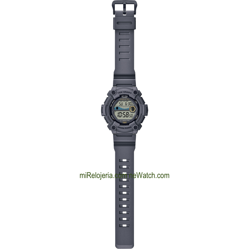 Tide Graph & Moon Phase