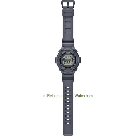 Tide Graph & Moon Phase