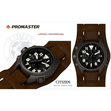 Promaster Altichron