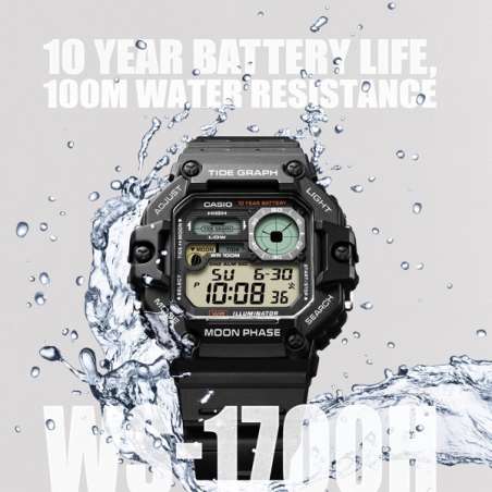 Tide Graph & Moon Phase
